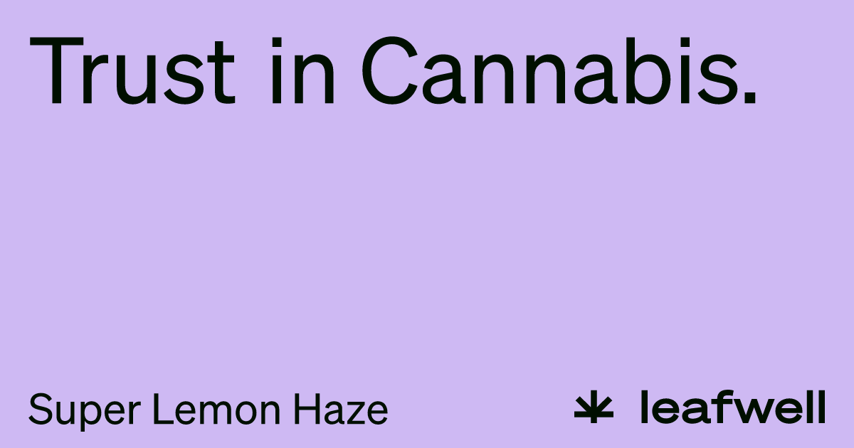 Super Lemon Haze Marijuana Strain - Leafwell
